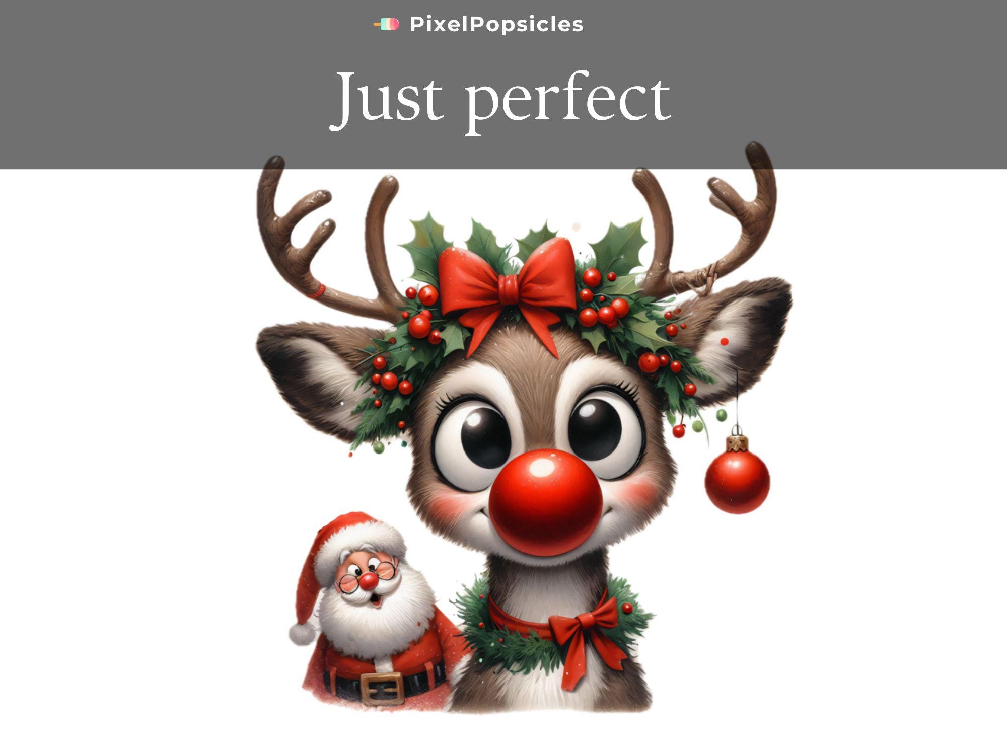 Santa and Rudolph Clipart: Festive Christmas Gnomes (12 PNG Files) - Etsy