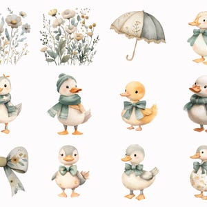 Pond’s Creatures Clipart | Watercolor Frogs, Fish, Ducks & Lilies ...