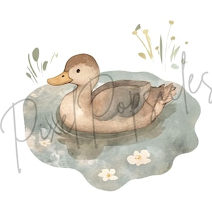Pond’s Creatures Clipart | Watercolor Frogs, Fish, Ducks & Lilies ...