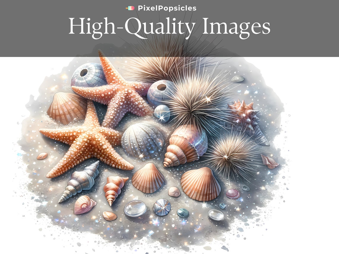 10 Sea Shells Clipart, Seashell Clipart, Printable Watercolor Clipart ...