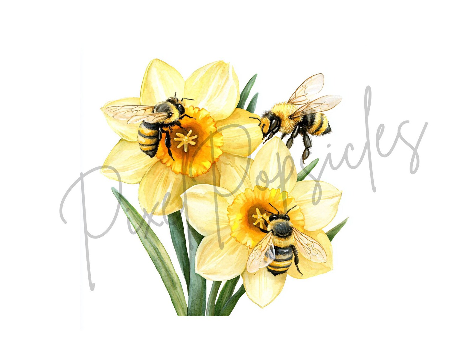 Watercolor Bees Clipart: Honey Bee, Beehive Art (digital Download) - Etsy
