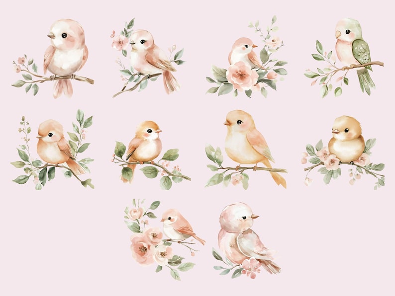 Spring Birds Clipart, Watercolor PNG, Nursery Decor (digital Download ...