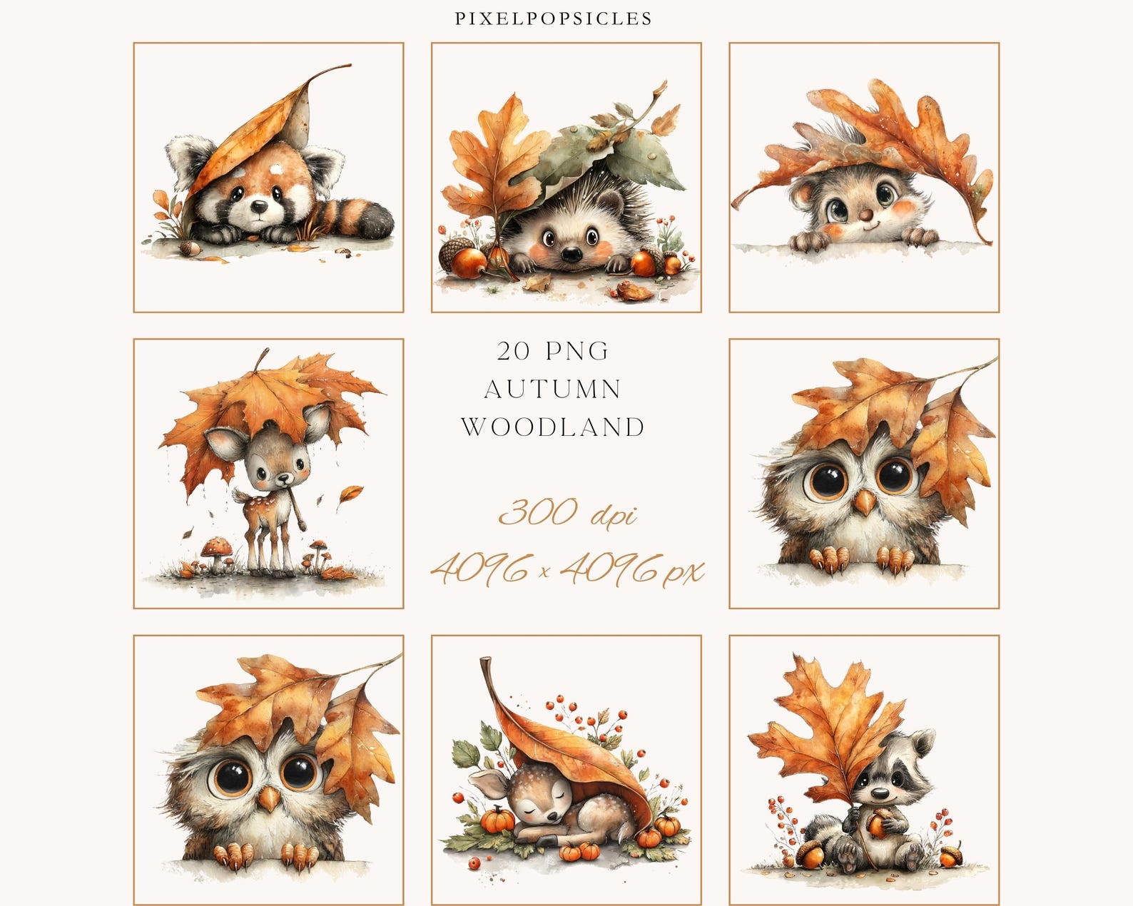 Autumn Woodland Animals Clipart Bundle: Fall Forest PNG Images (digital ...