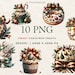 Christmas Sweets Clipart 10 PNG Bundle, Holiday Treats Graphics ...