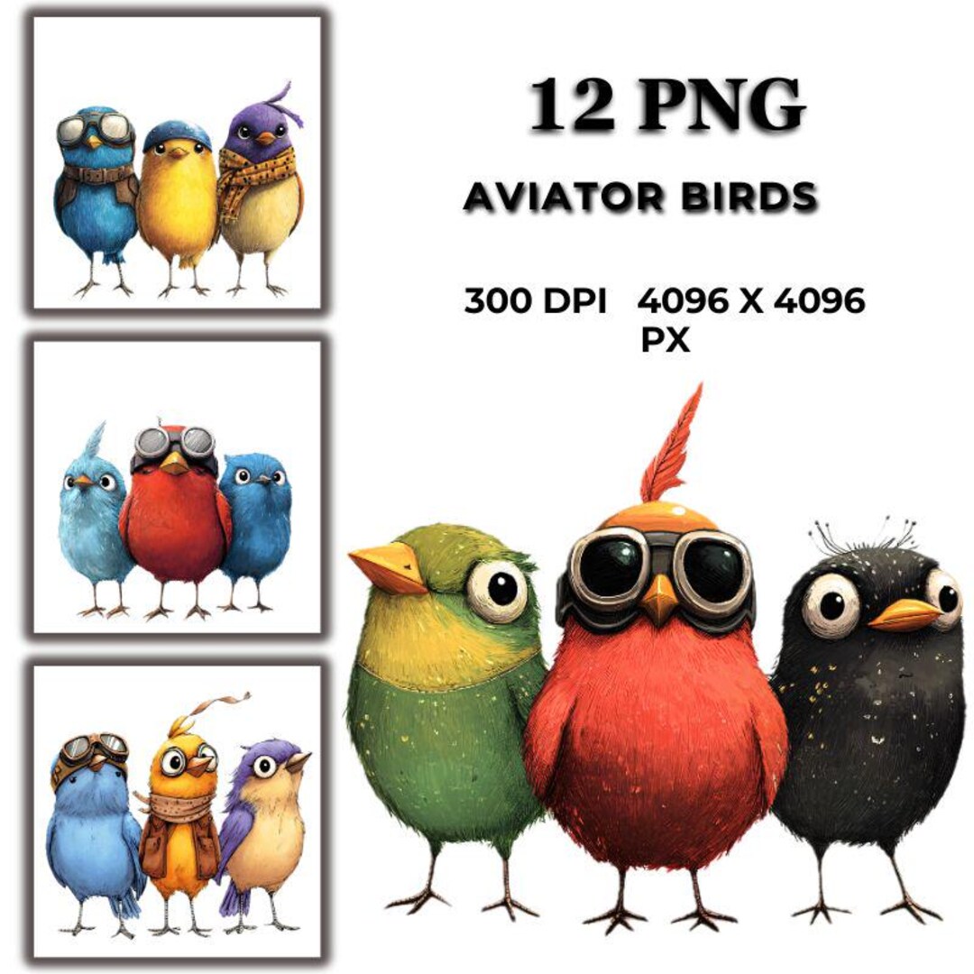 Aviator Birds Clipart Whimsical Pilot Bird Illustrations Cards ...