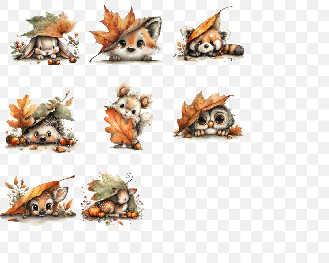 Autumn Woodland Animals Clipart Bundle: Fall Forest PNG Images (digital ...