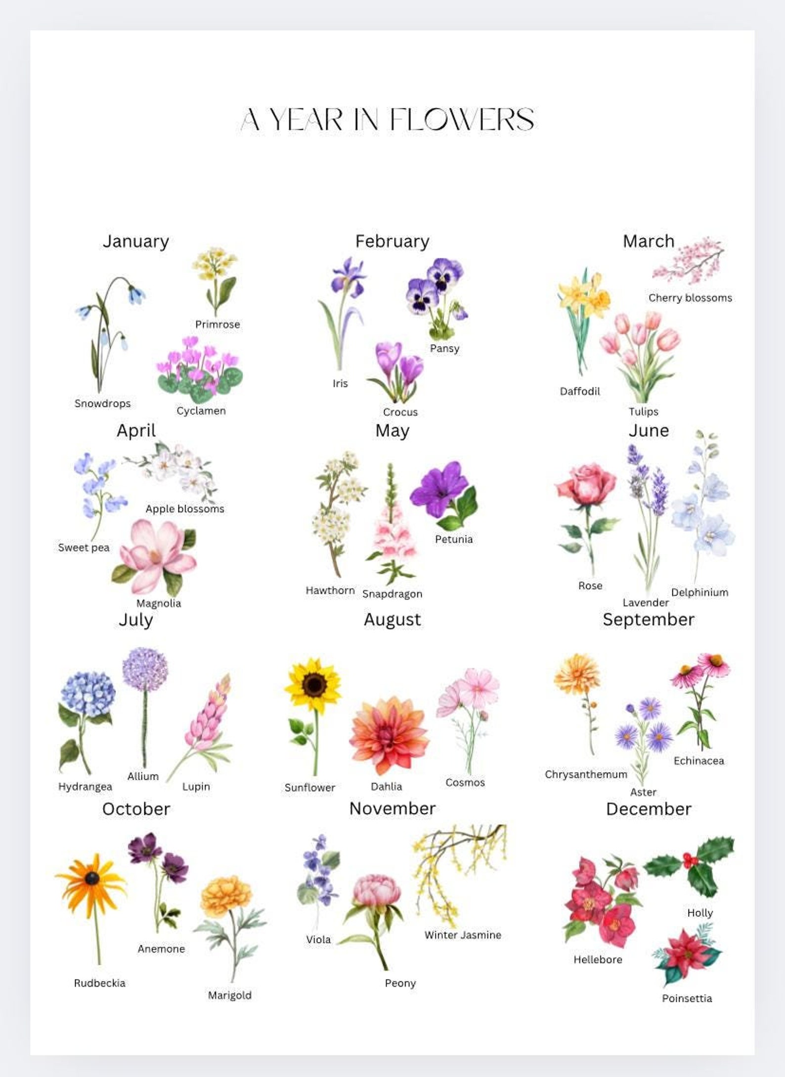 A3 Flower Poster Download & Print - Etsy