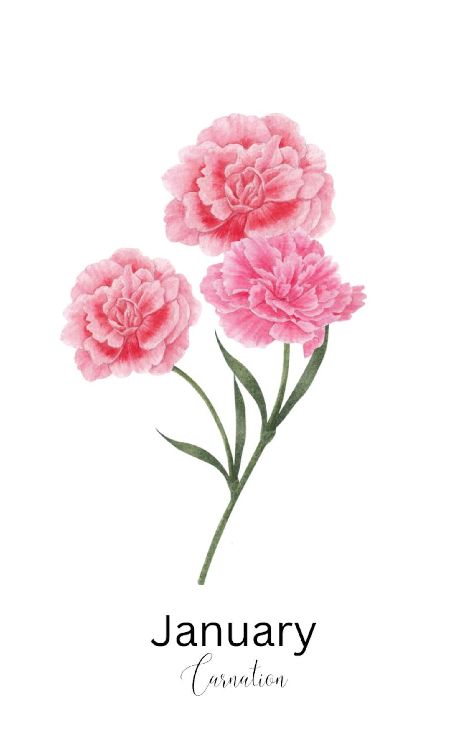 Birth Month Flower Wall Art Print 16x20 - Etsy