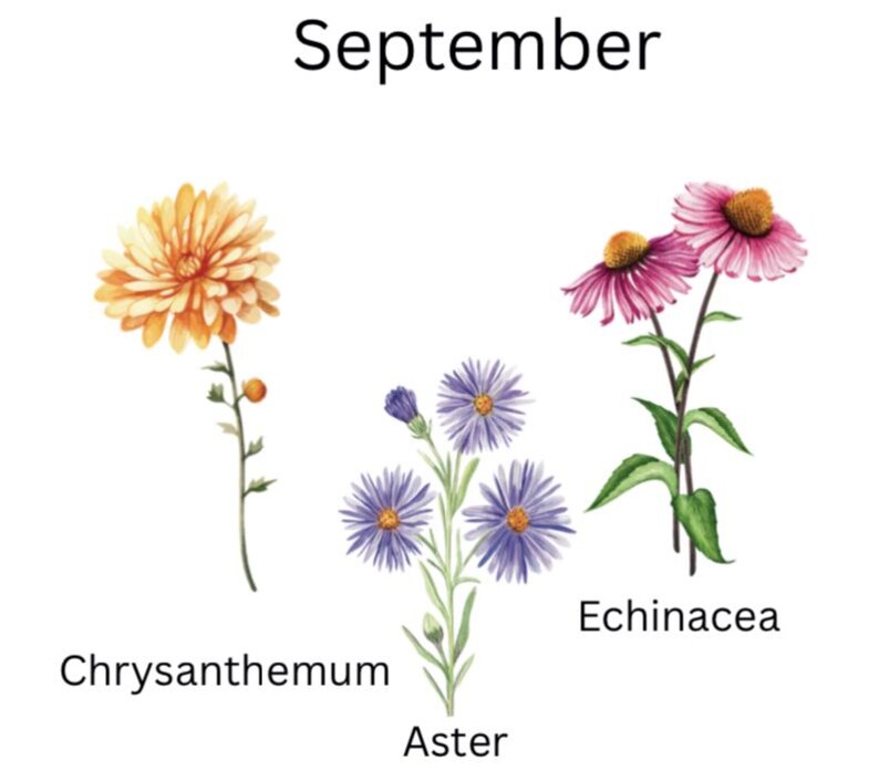 A3 Flower Poster Download & Print - Etsy