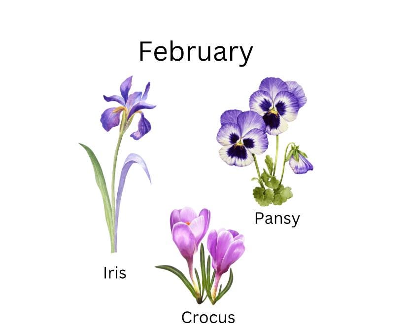 A3 Flower Poster Download & Print - Etsy