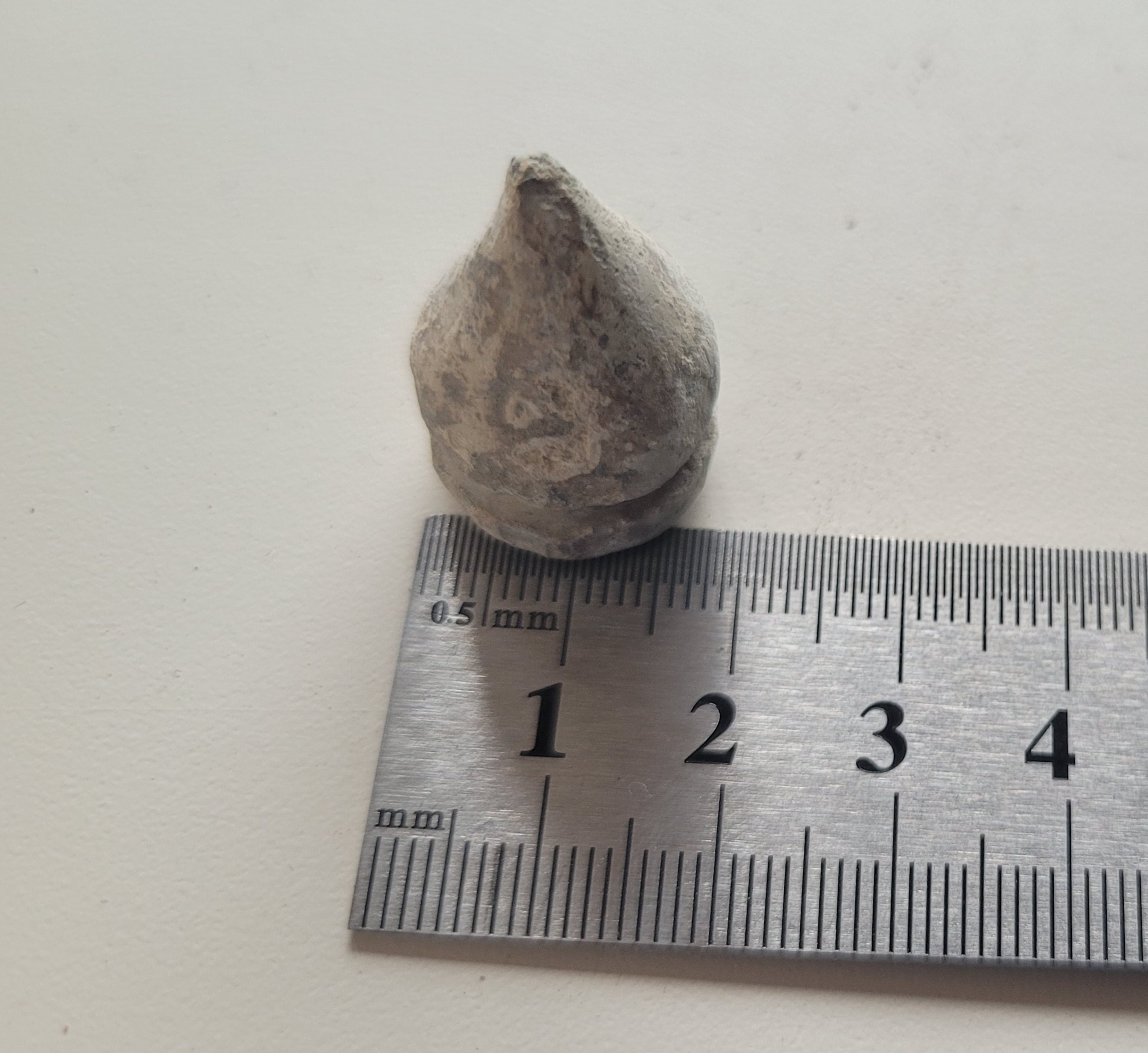 Minnie Civil War-era LEAD BULLET of the 19th Century. Austrian - Etsy