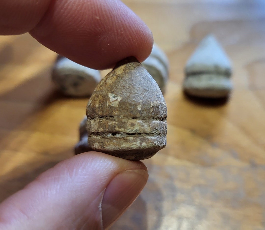 Minnie Civil War-era LEAD BULLET of the 19th Century. 5 Pcs. - Etsy