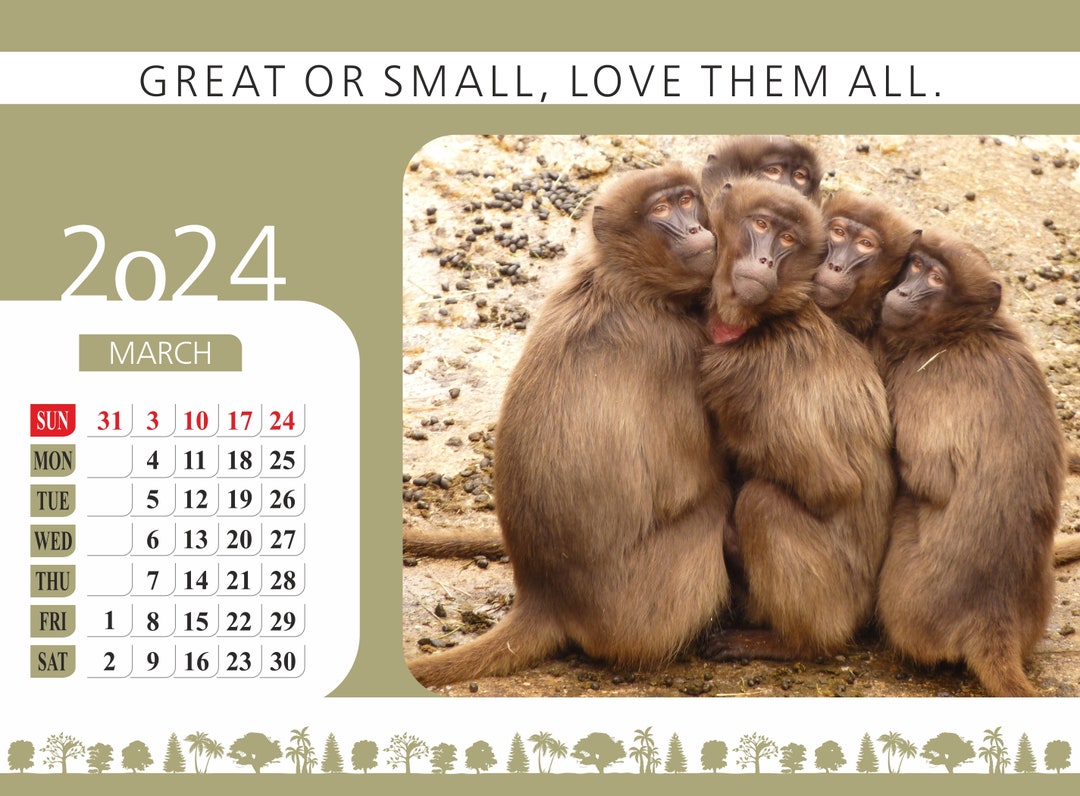 2024 Desk Calendar Animals Calendar Birds Monthly Calendar - Etsy