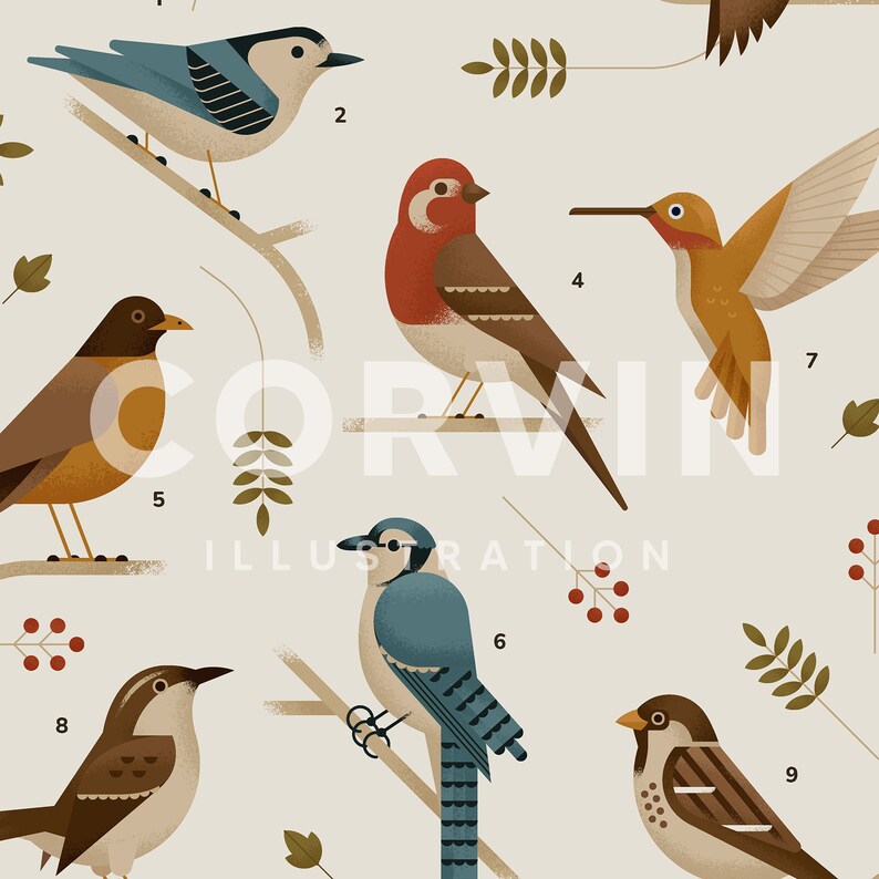 Educational Birds Illustration Poster, Montessori Learning Print ...