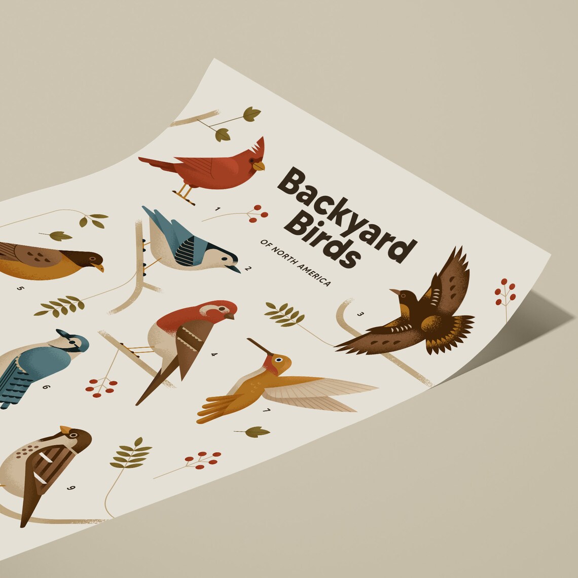 Educational Birds Illustration Poster, Montessori Learning Print ...