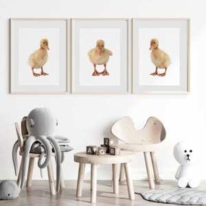 Baby Duck Wall Art, Baby Bedroom, Set of 4 Printable Digital Download ...