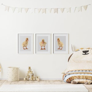 Baby Duck Wall Art, Baby Bedroom, Set of 4 Printable Digital Download ...