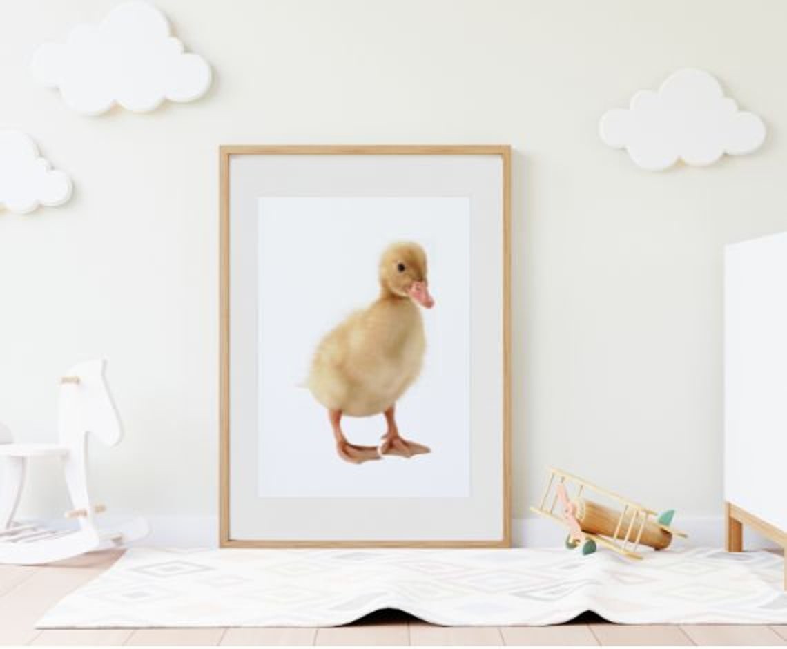 Baby Duck Wall Art, Baby Bedroom, Set of 4 Printable Digital Download ...