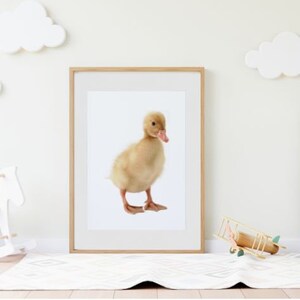 Baby Duck Wall Art, Baby Bedroom, Set of 4 Printable Digital Download ...