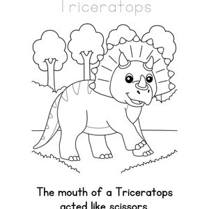 Dinosaur Fun Facts Colouring Book - Etsy UK