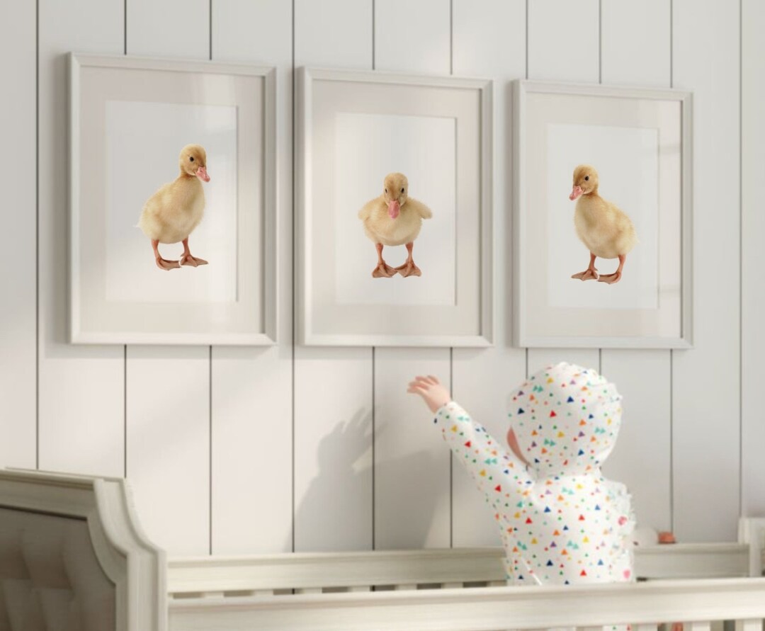 Baby Duck Wall Art, Baby Bedroom, Set of 3 Printable Digital Download ...