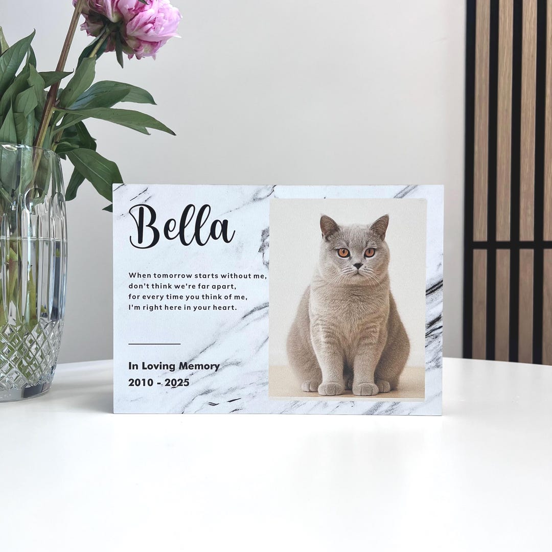 Custom Cat Cremation Urn: Photo Memorial, Modern Marble Style - Etsy