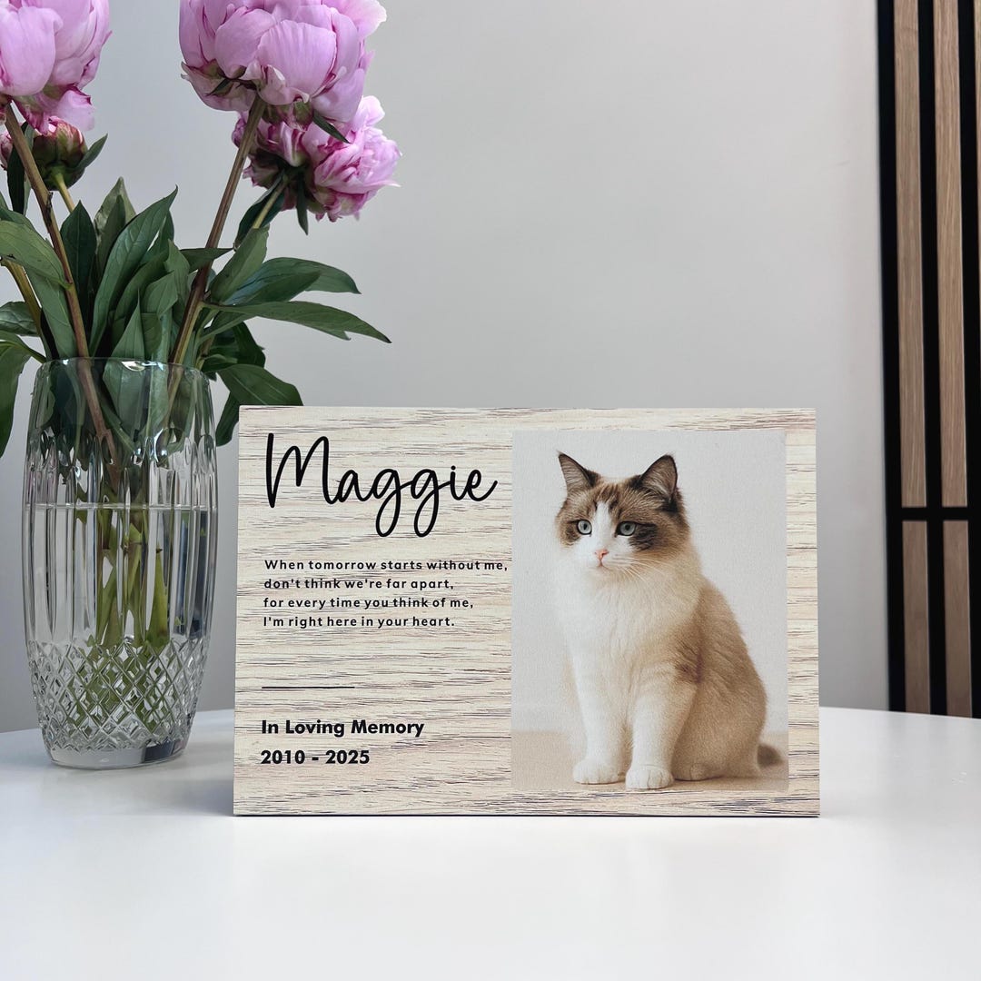 Personalized Pet Urn With Photo: Custom Dog & Cat Cremation Box - Etsy