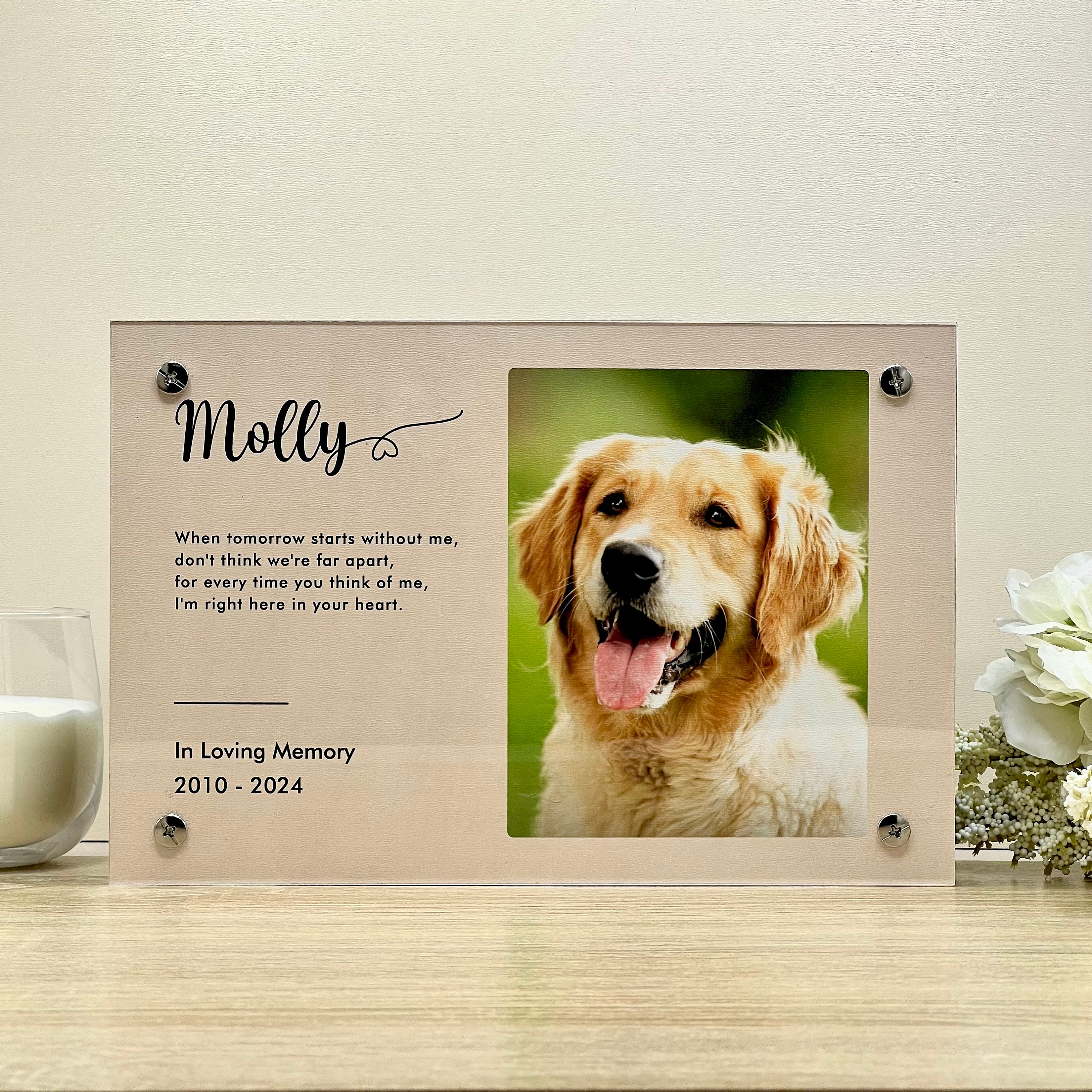 Personalized Pet Memorial Urn for Dogs Ashes, Dog Urn With Picture, Pet ...