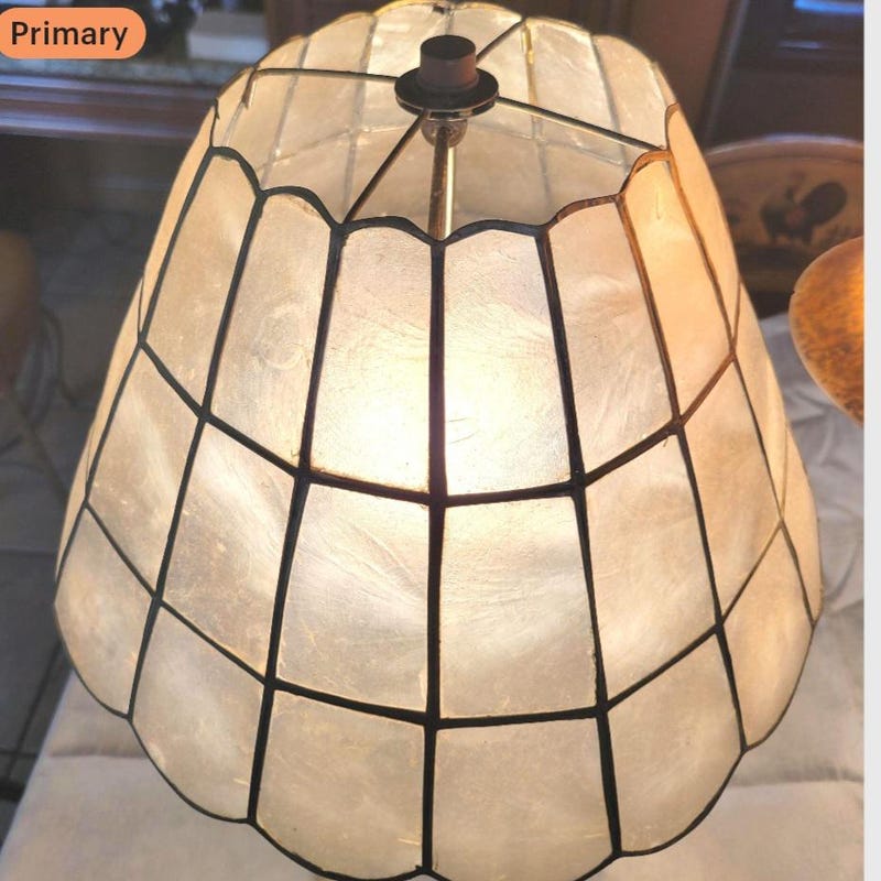 Shell Lamp - Etsy