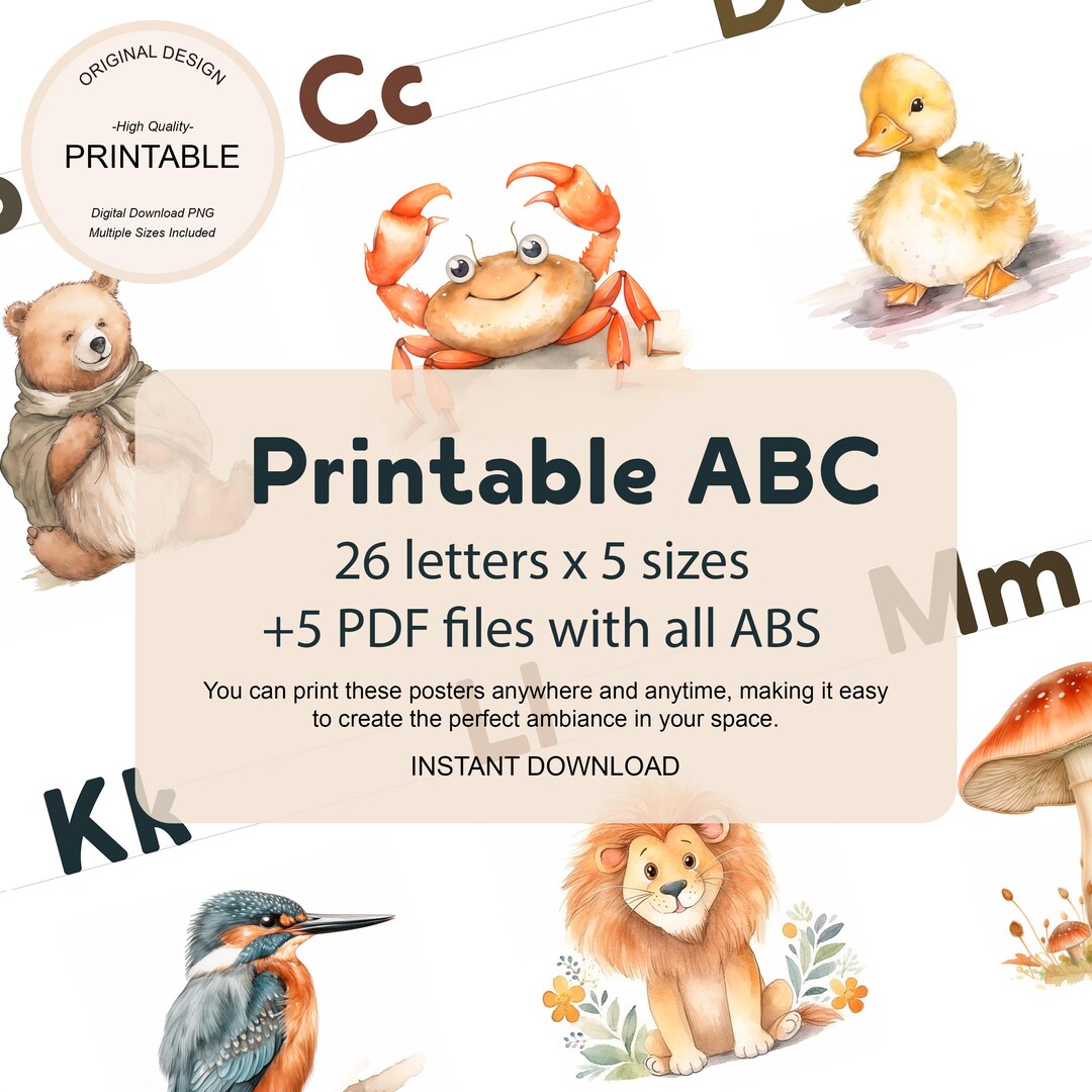 Printable ABC Pages Book for Preschool, Alphabet Homeschool Flashcards ...