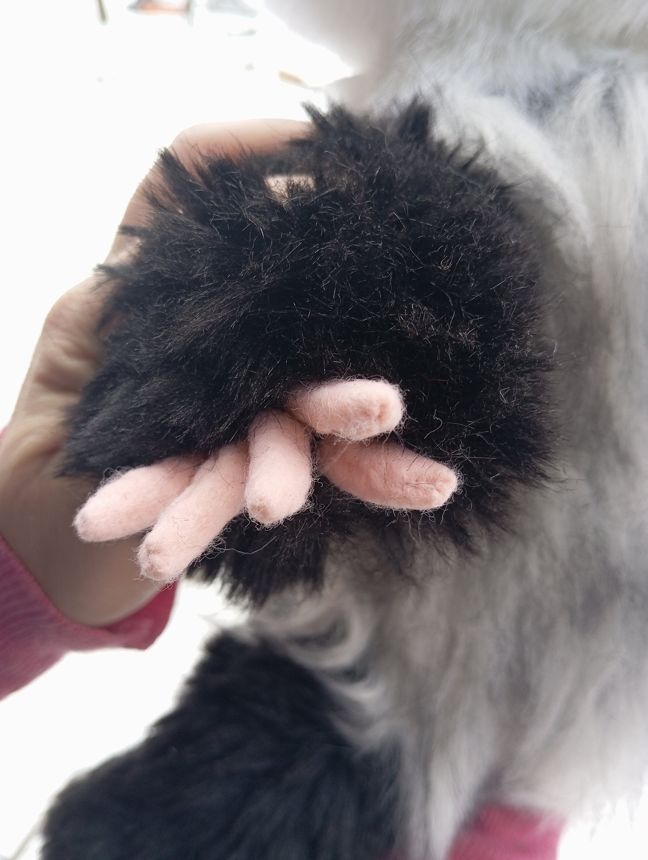 Possum Stuffed Plush, Stuffed Animal Cute, Opossum Snuggly, Possum ...