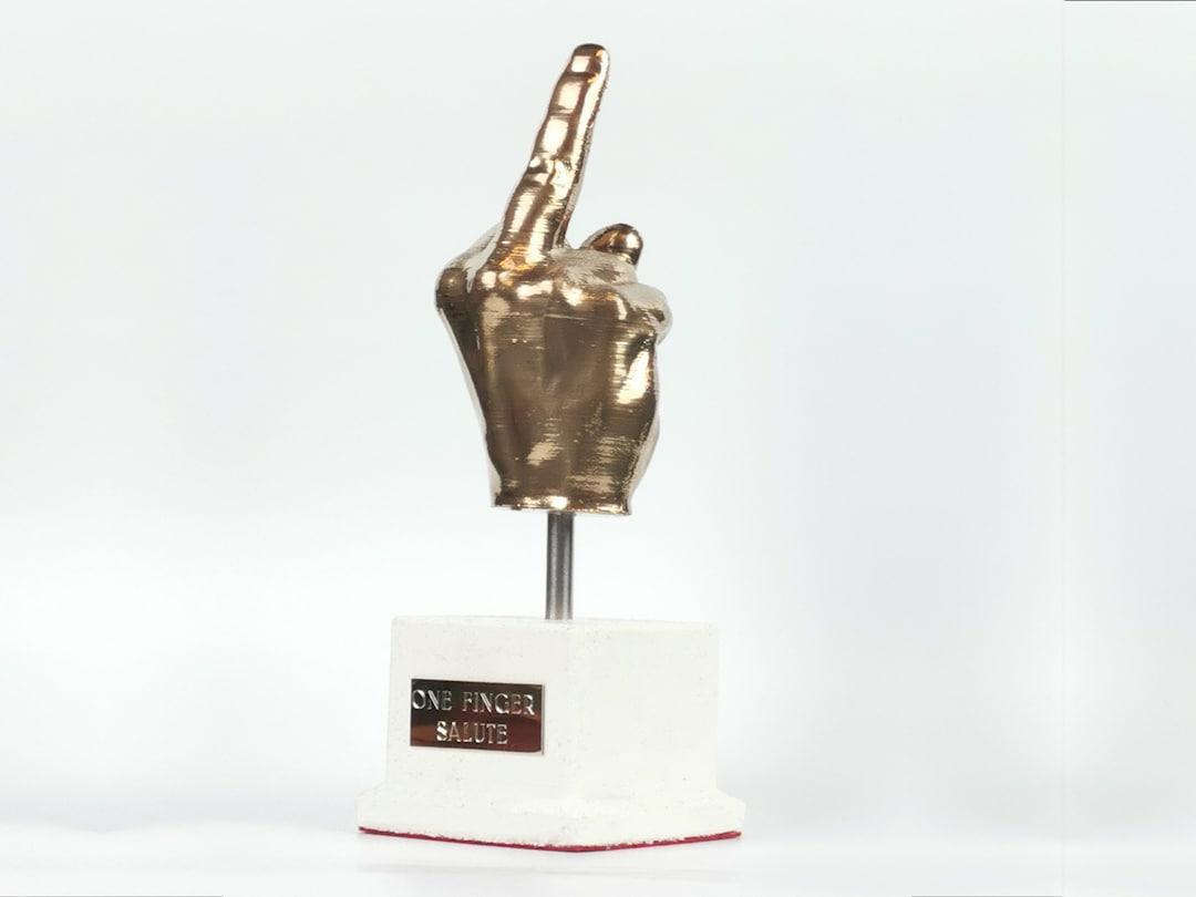 Personalised Middle Finger Hand Trophy - Etsy