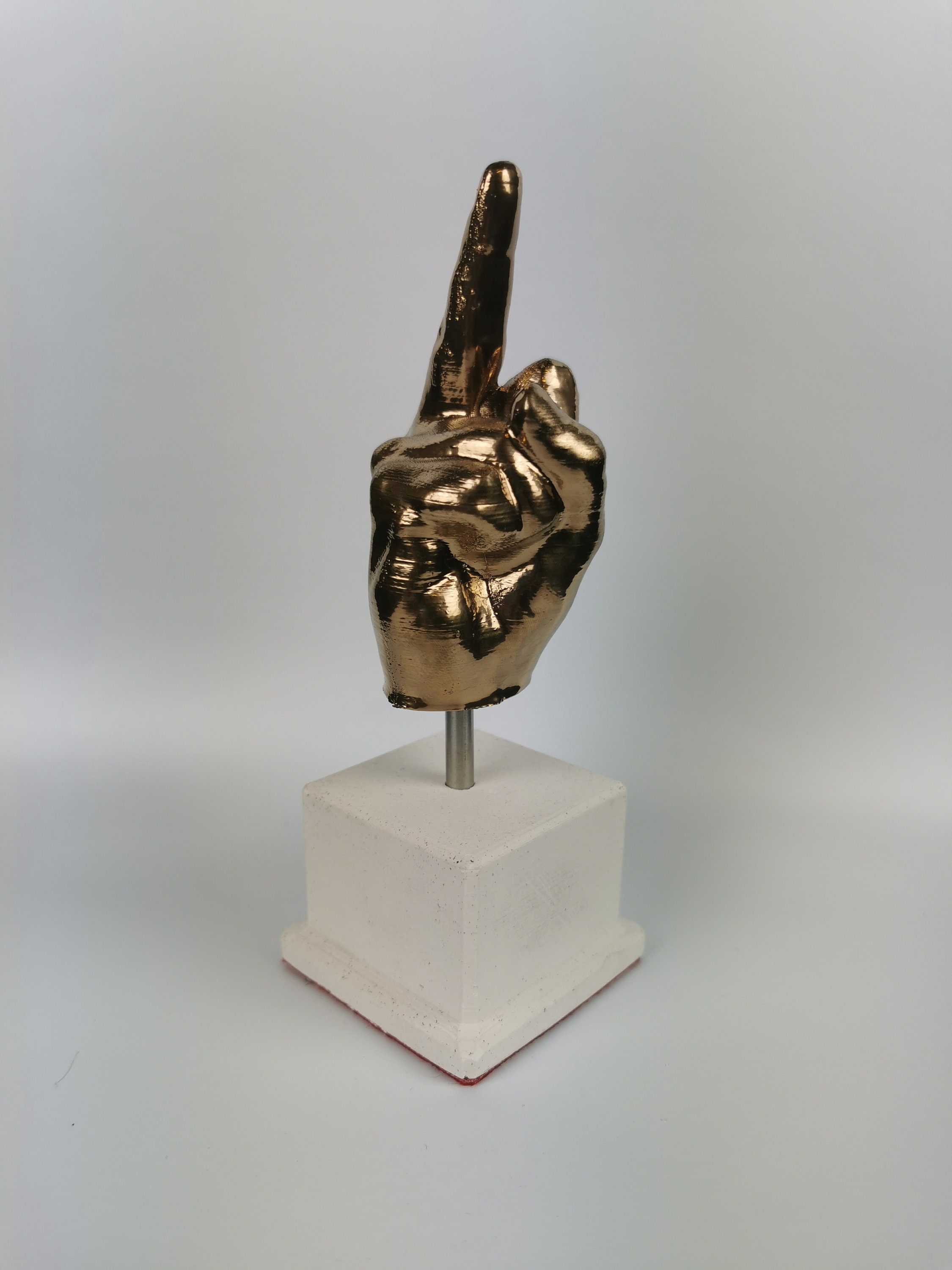 Personalised Middle Finger Hand Trophy - Etsy