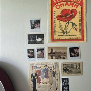 Printable Vintage Poppy Flower Poster, Printable Botanical Wall Art ...