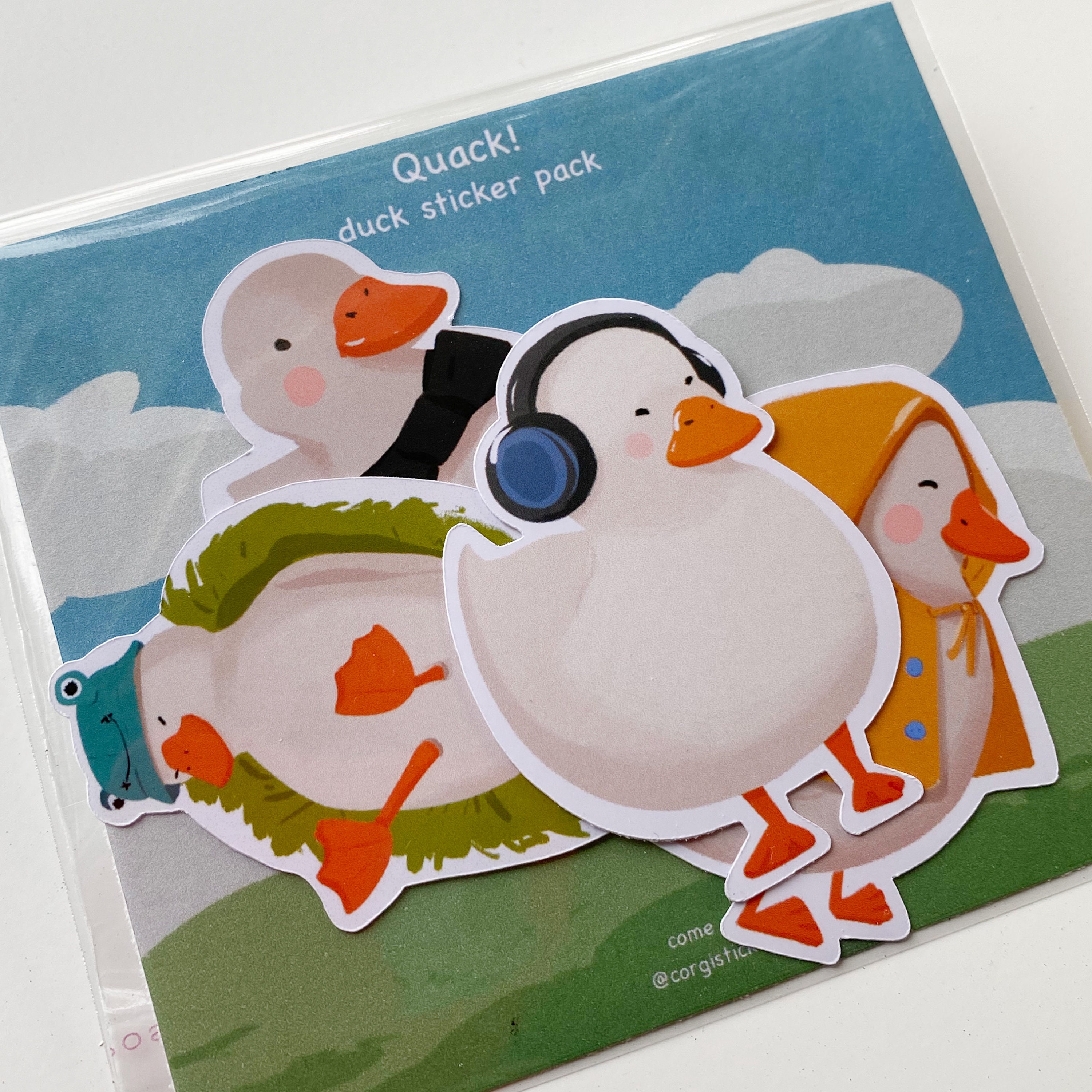 Cute Ducks Sticker Set Duck Sticker Duck in Coat Sticker - Etsy