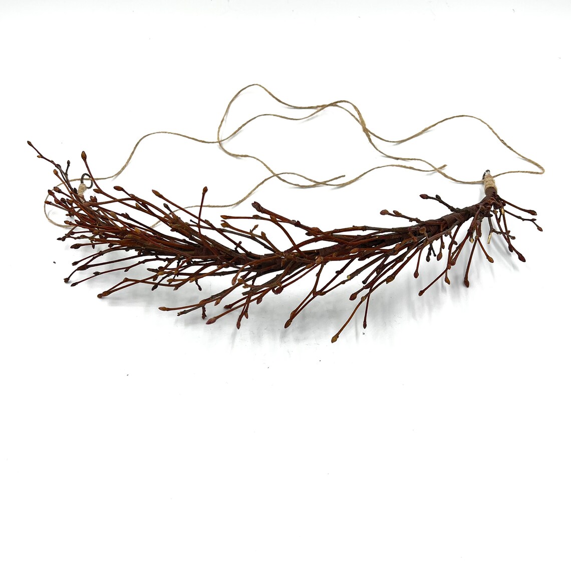 Gothic Branches Crown: Men's Halloween Tiara, Woodland Natural Crown ...