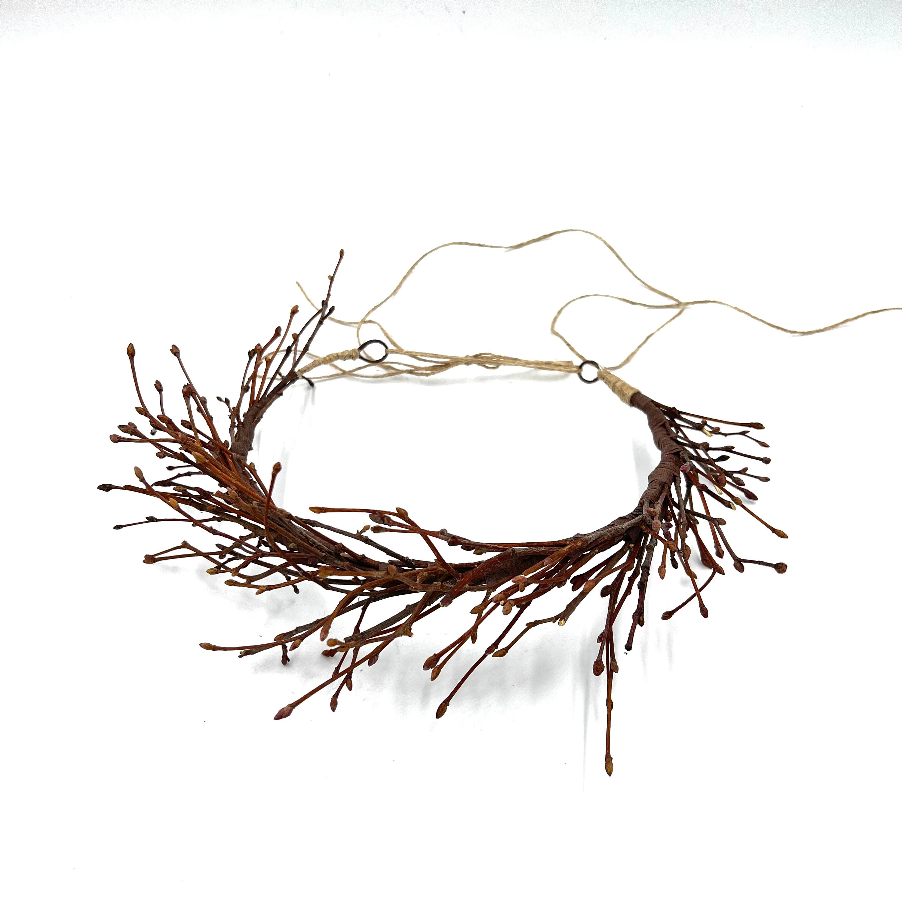 Gothic Branches Crown: Men's Halloween Tiara, Woodland Natural Crown ...