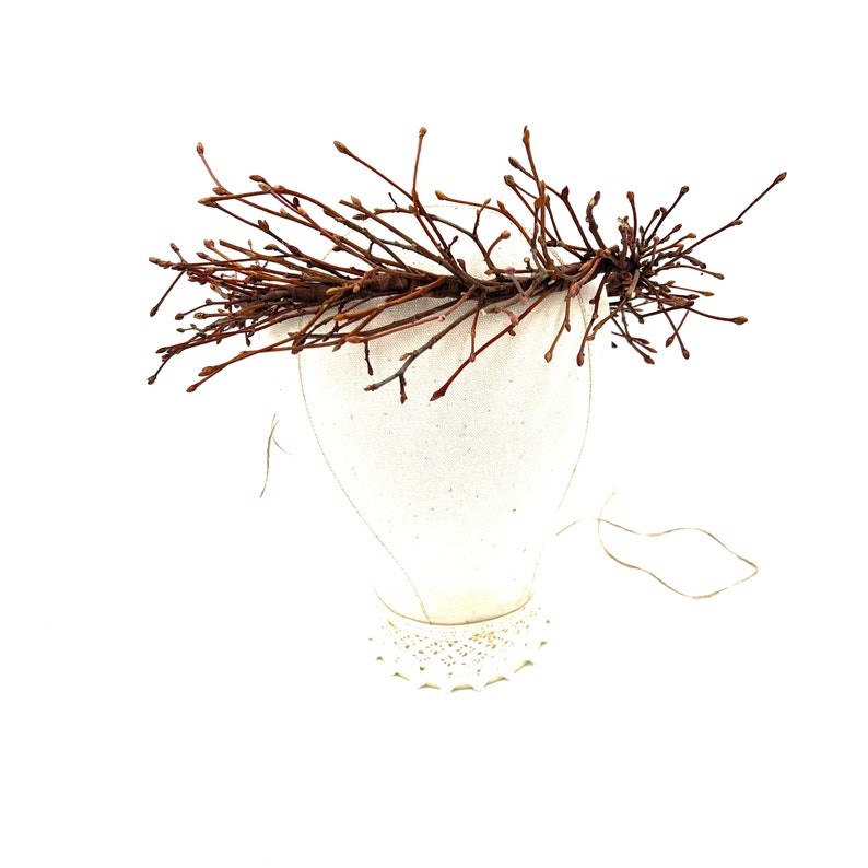 Gothic Branches Crown: Men's Halloween Tiara, Woodland Natural Crown ...