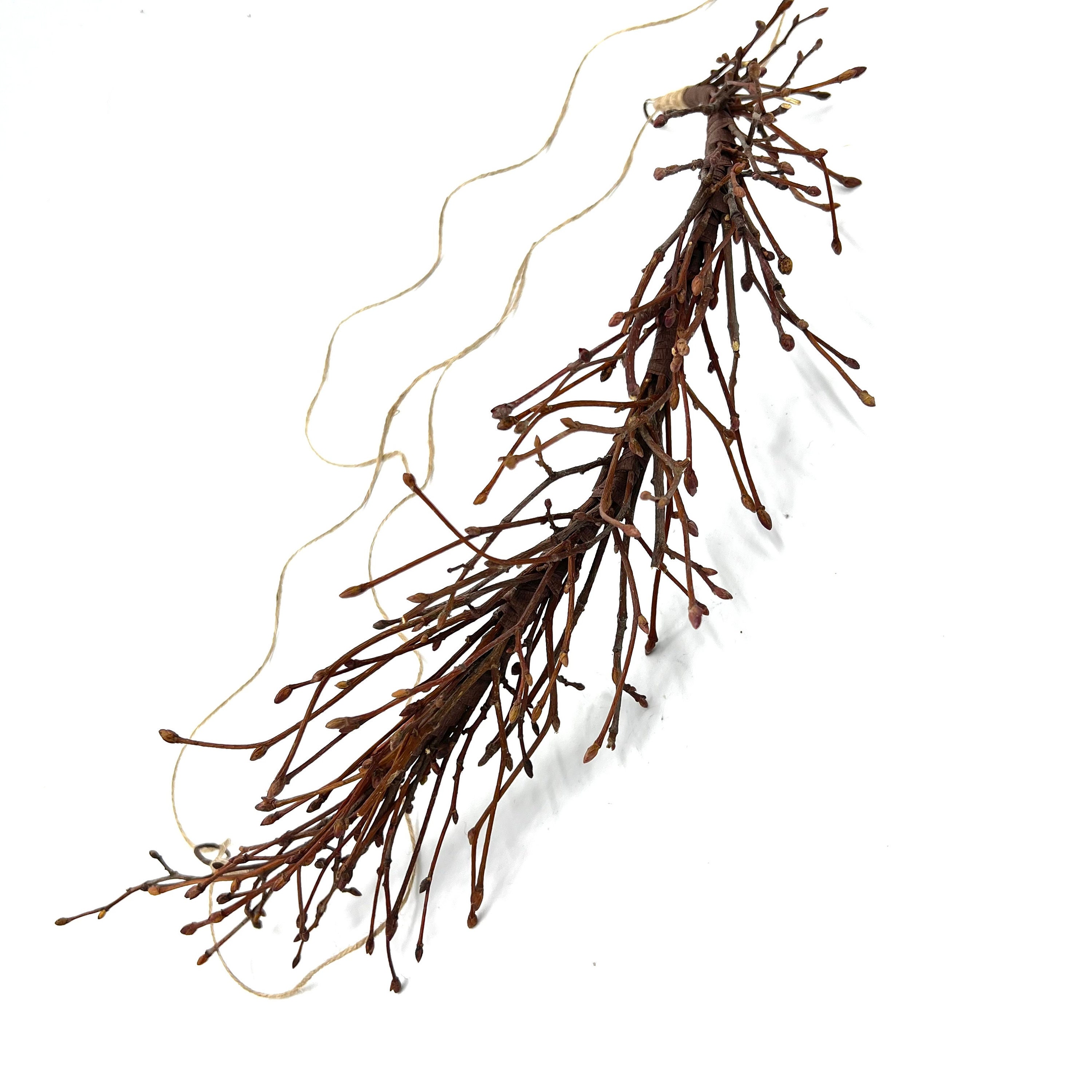 Gothic Branches Crown: Men's Halloween Tiara, Woodland Natural Crown ...