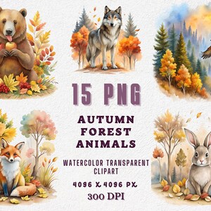 Autumn Forest Animals Clipart, Watercolor Fall PNG, Junk Journal Kit ...