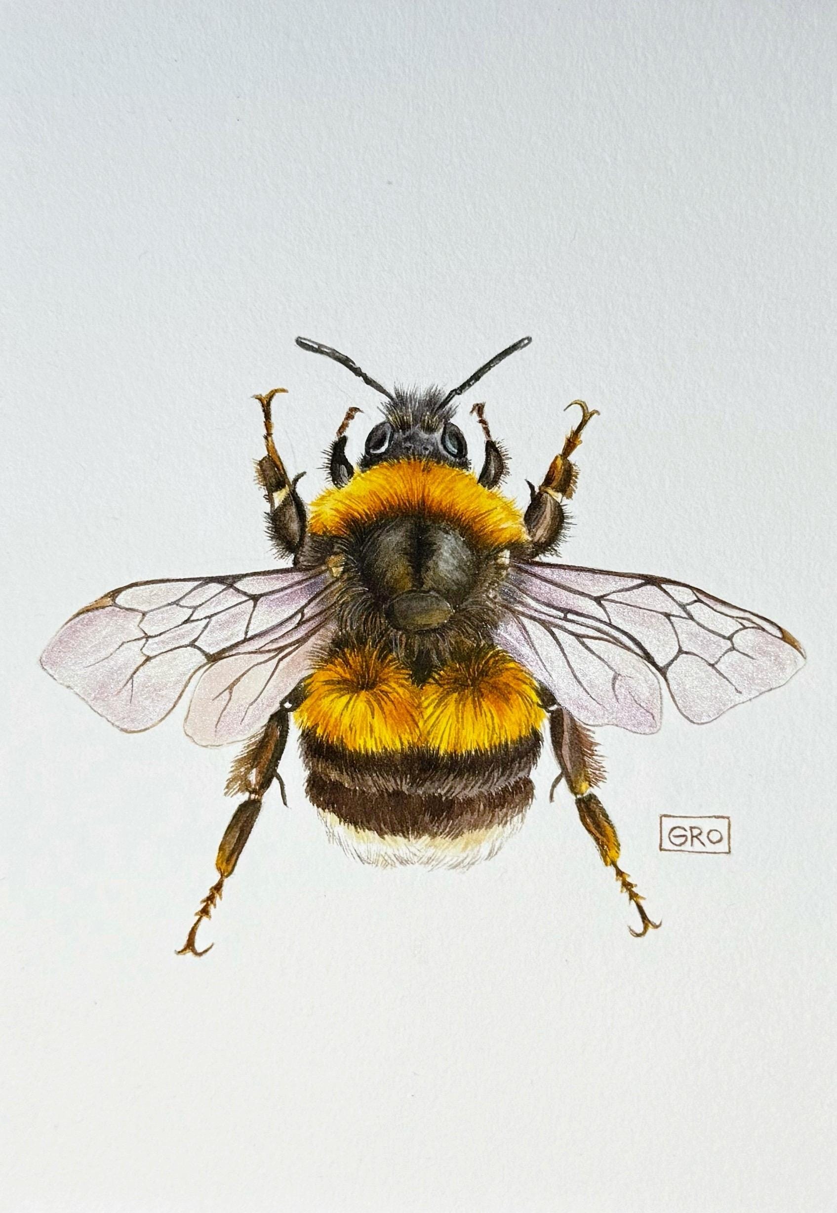 Original Watercolor Bumblebee Painting – Bees - Hand Painted Art ...