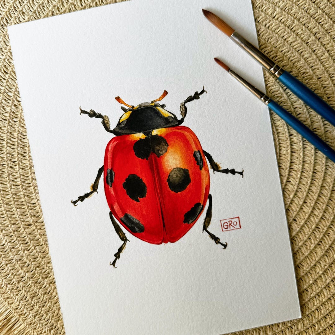 Original Ladybug Watercolor Illustration - Bugs Art - Insect Art - Bugs ...
