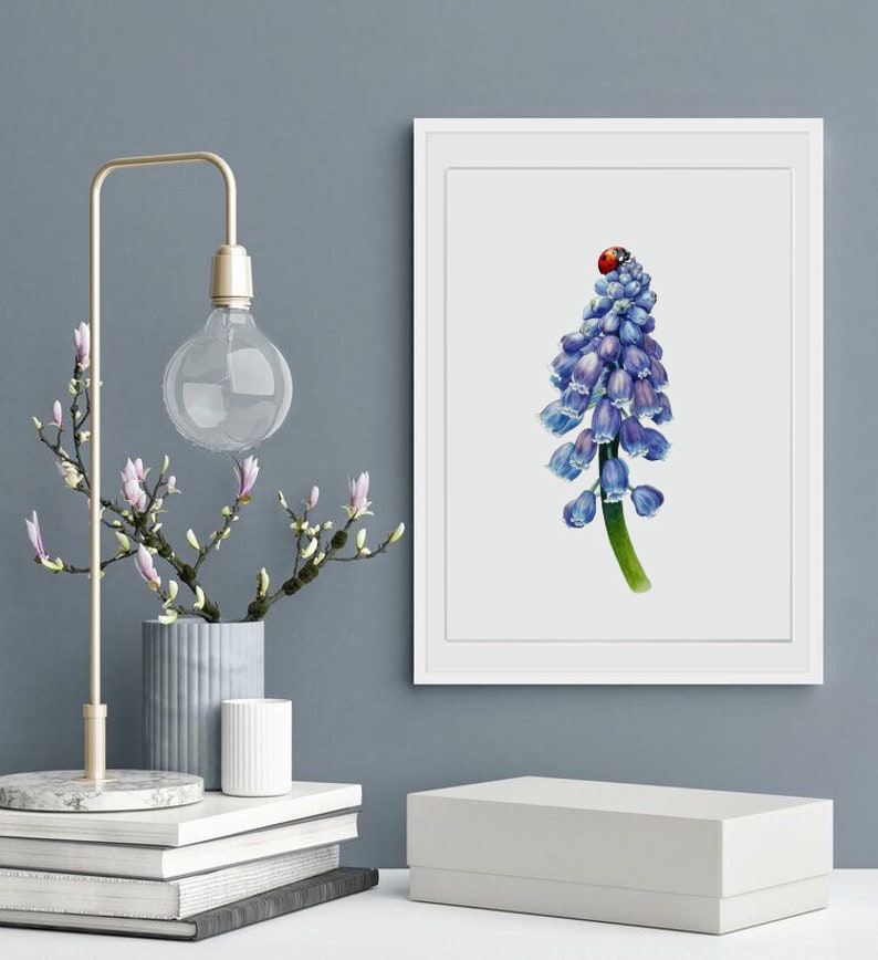 Muscari Original Watercolor Flower Painting - Hand-painted Botanical ...
