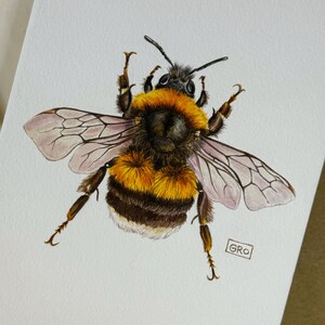 Original Watercolor Bumblebee Painting – Bees - Hand Painted Art ...