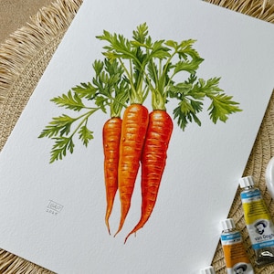 Original Watercolor Carrot Painting – Botanical Kitchen Wall Art ...