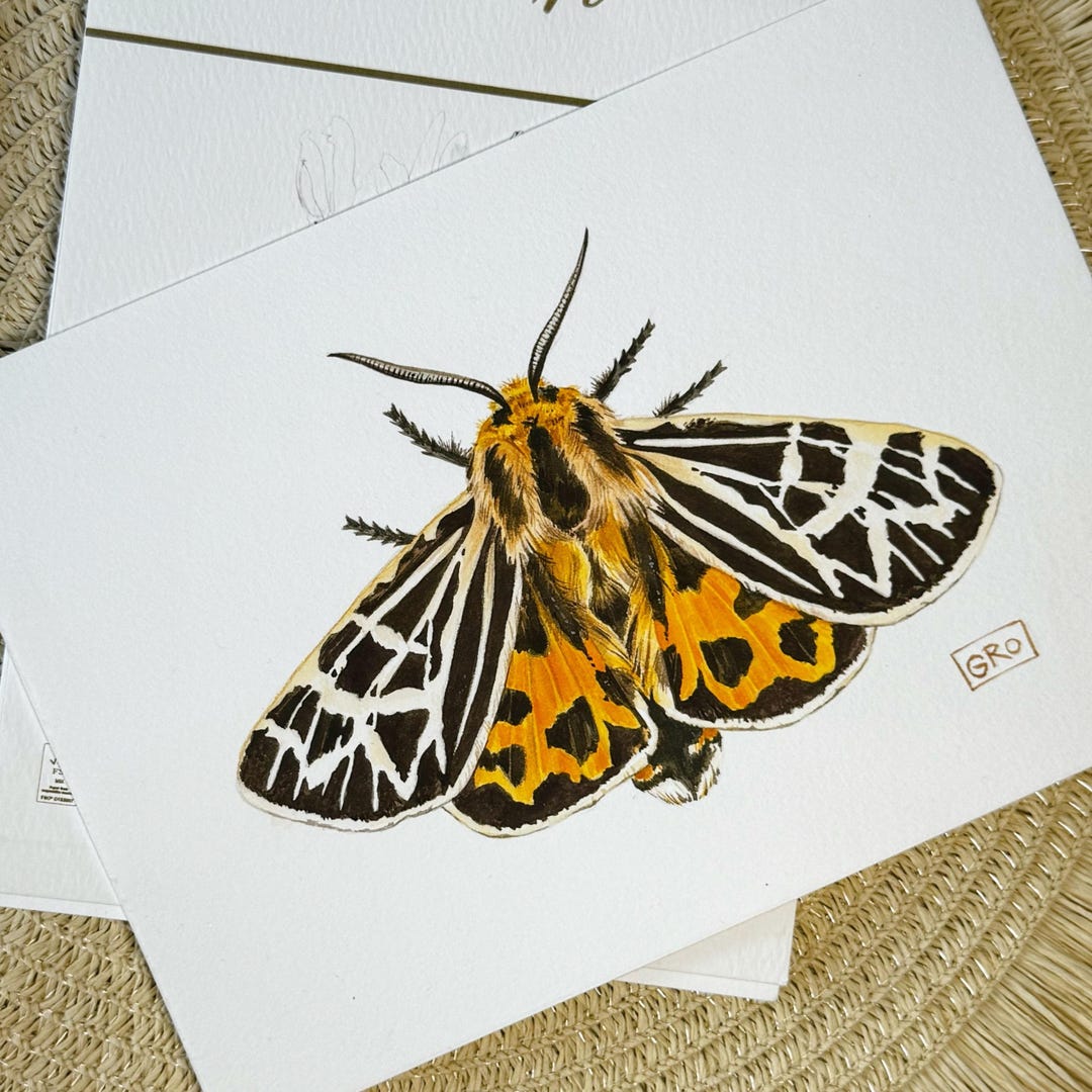 Whimsical Entomology Illustration - Handcrafted Watercolor Painting of ...