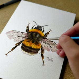 Original Watercolor Bumblebee Painting – Bees - Hand Painted Art ...