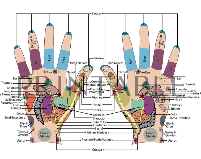 Acupressure Reflexology Chart With Precise Hand Diagrams. Professional Print. - Etsy Canada