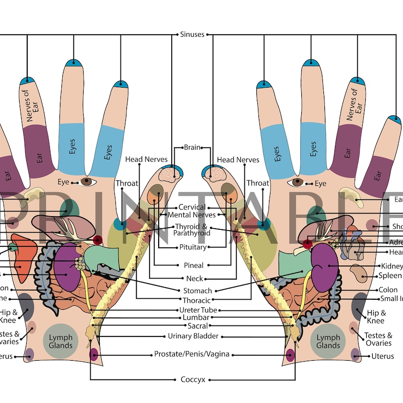 Reflexology Poster - Etsy