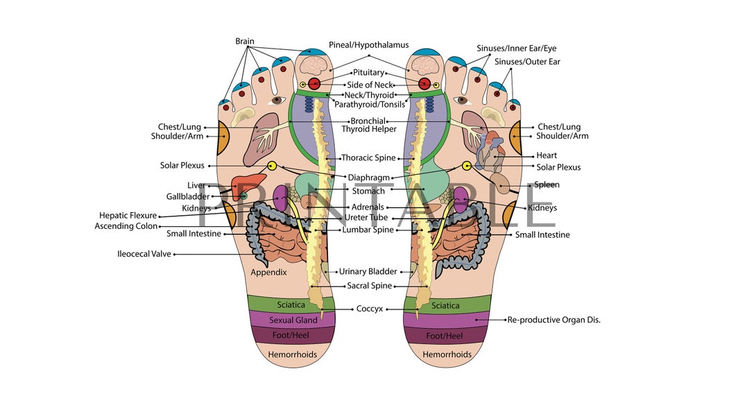 Foot Reflexology Chart: Feet Acupuncture, Massage Poster (digital ...